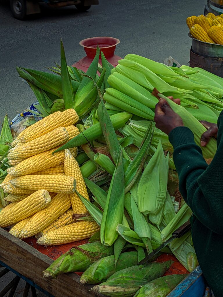 Why you should include corn in your diet – Confiance News